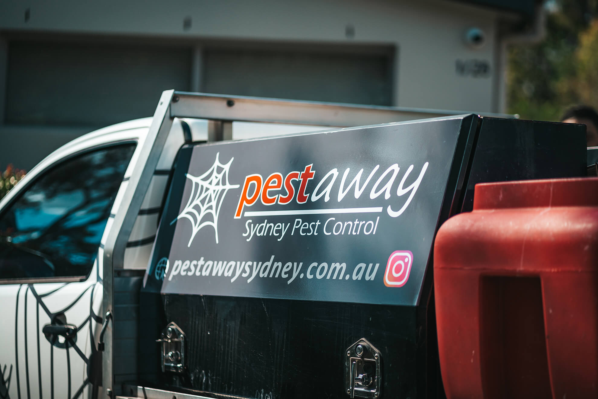 Pest Control Services | Pestaway Sydney